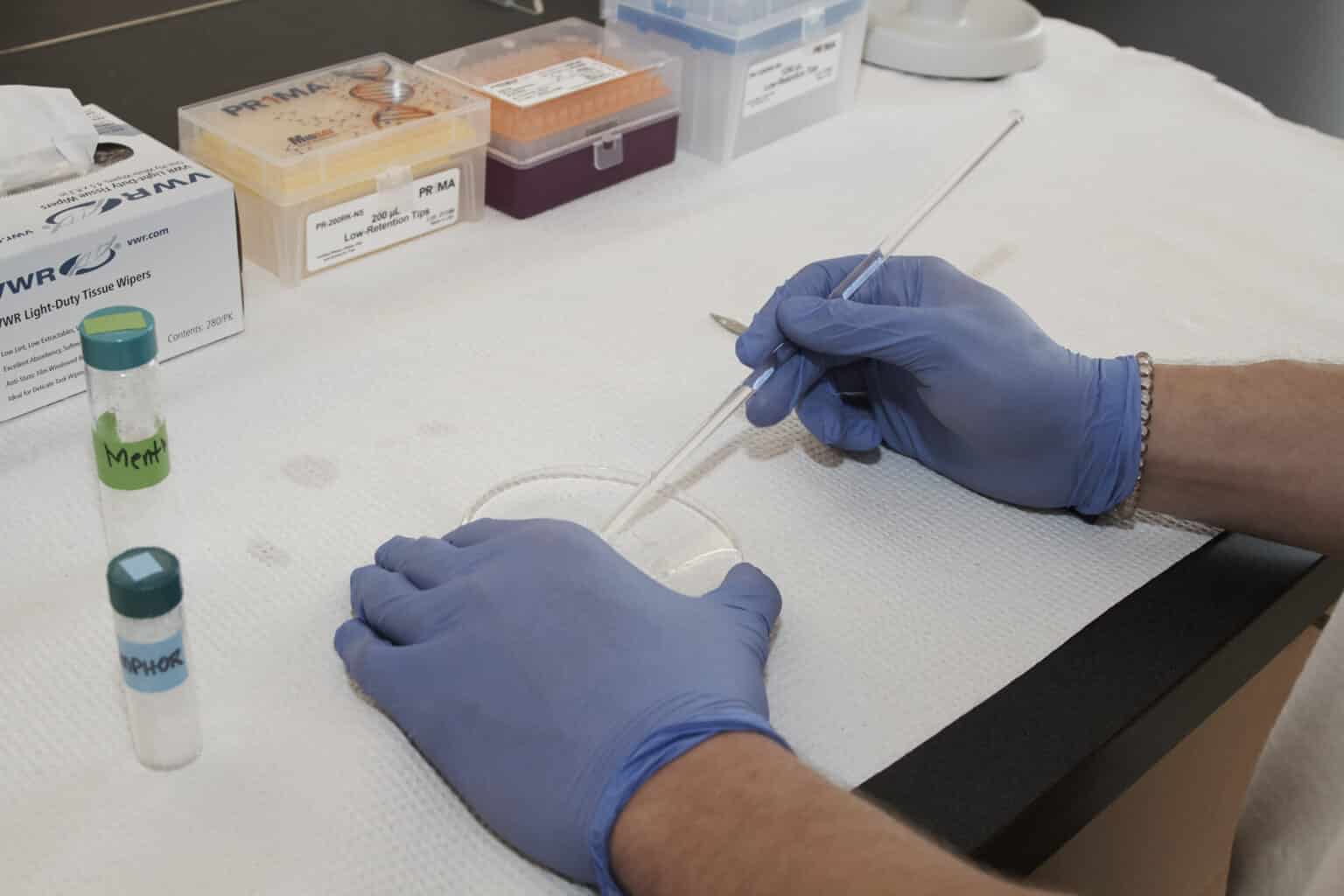 Visit UHSP | University of Health Sciences and Pharmacy in St. Louis